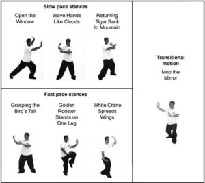 Tai Chi